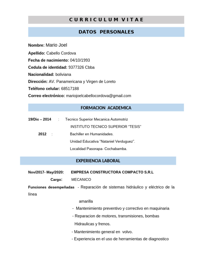 Curriculum Mario Joel Cabello PDF | PDF