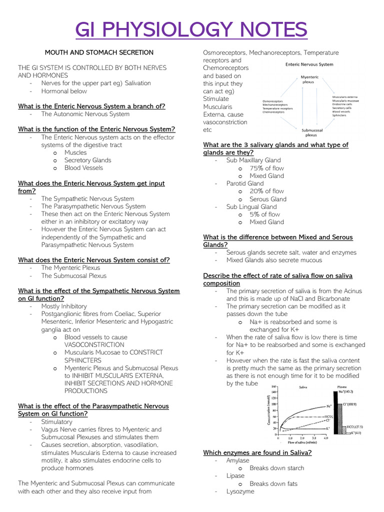 Gi Physiology Notes | PDF | Pancreas | Bile
