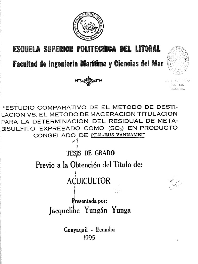 T-60636 Yungan Yunga | PDF