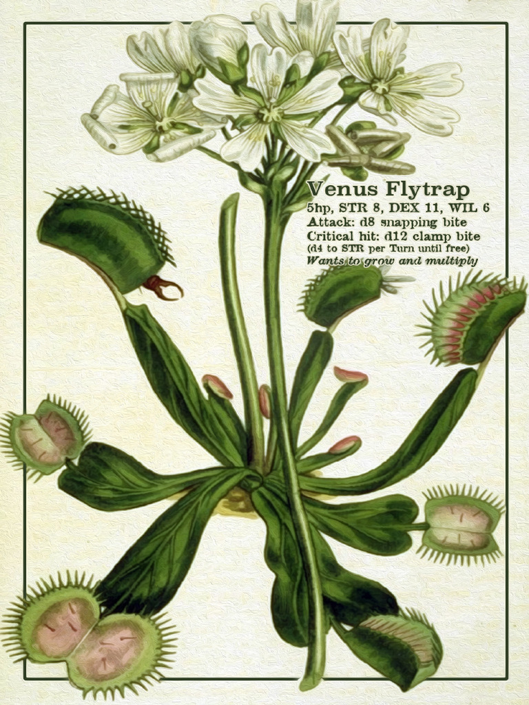 Venus Flytrap (A5) | PDF