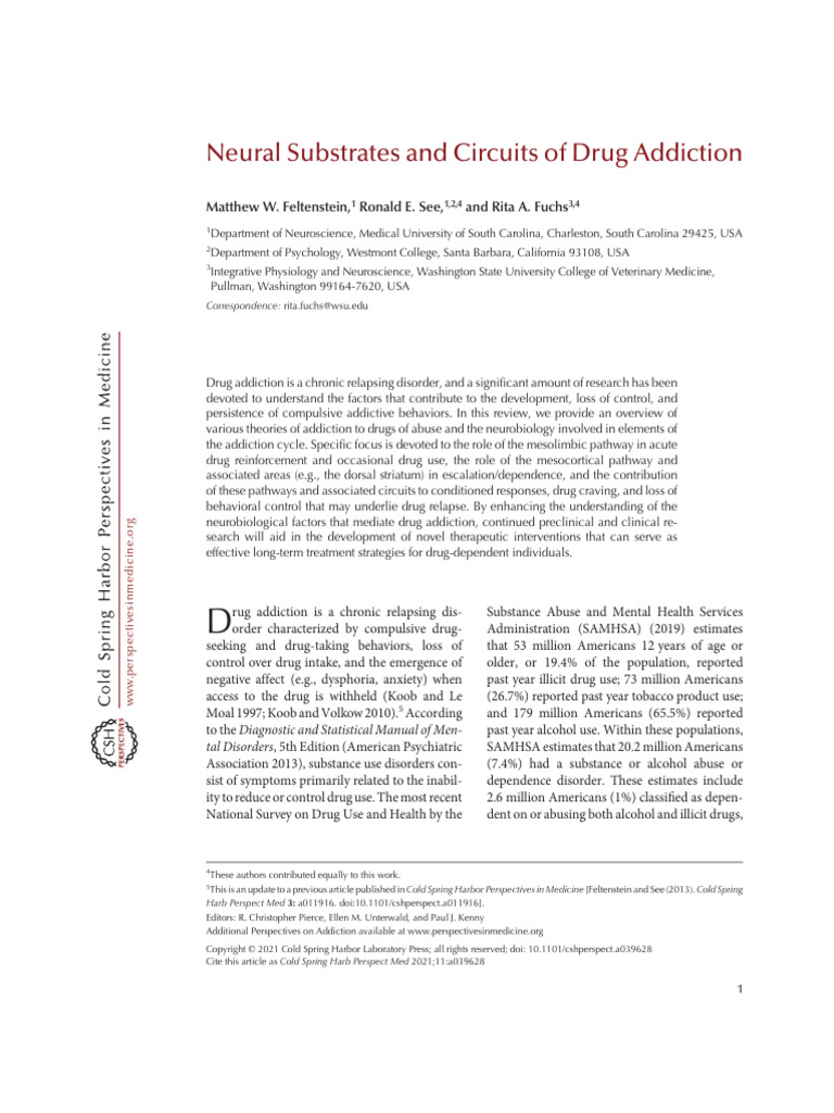 Neural Substrates and Circuits of Drug Addiction | PDF | Relapse ...