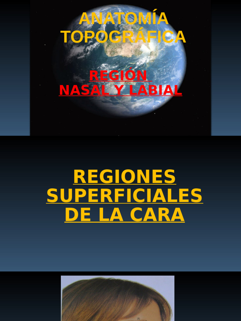 2.1. Regiones Nasal y Labial | PDF