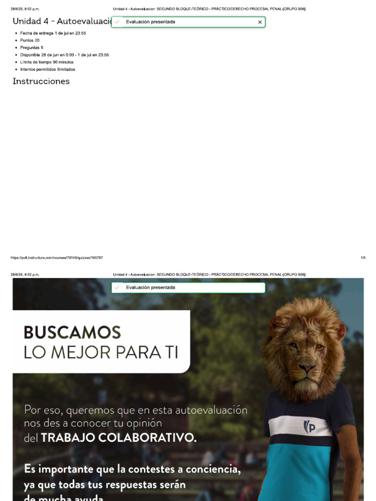 Autoevaluacion 28062025 | PDF