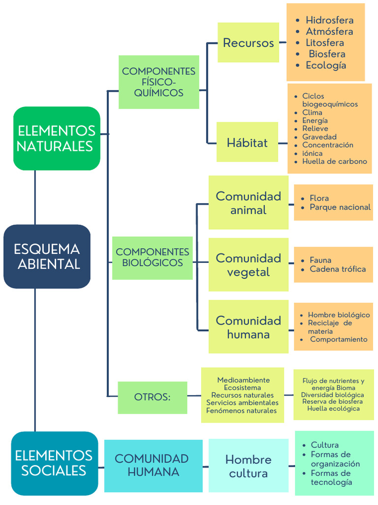 Cartel Vertical Gráfica Esquema Con Ideas Principales y Secundarias ...