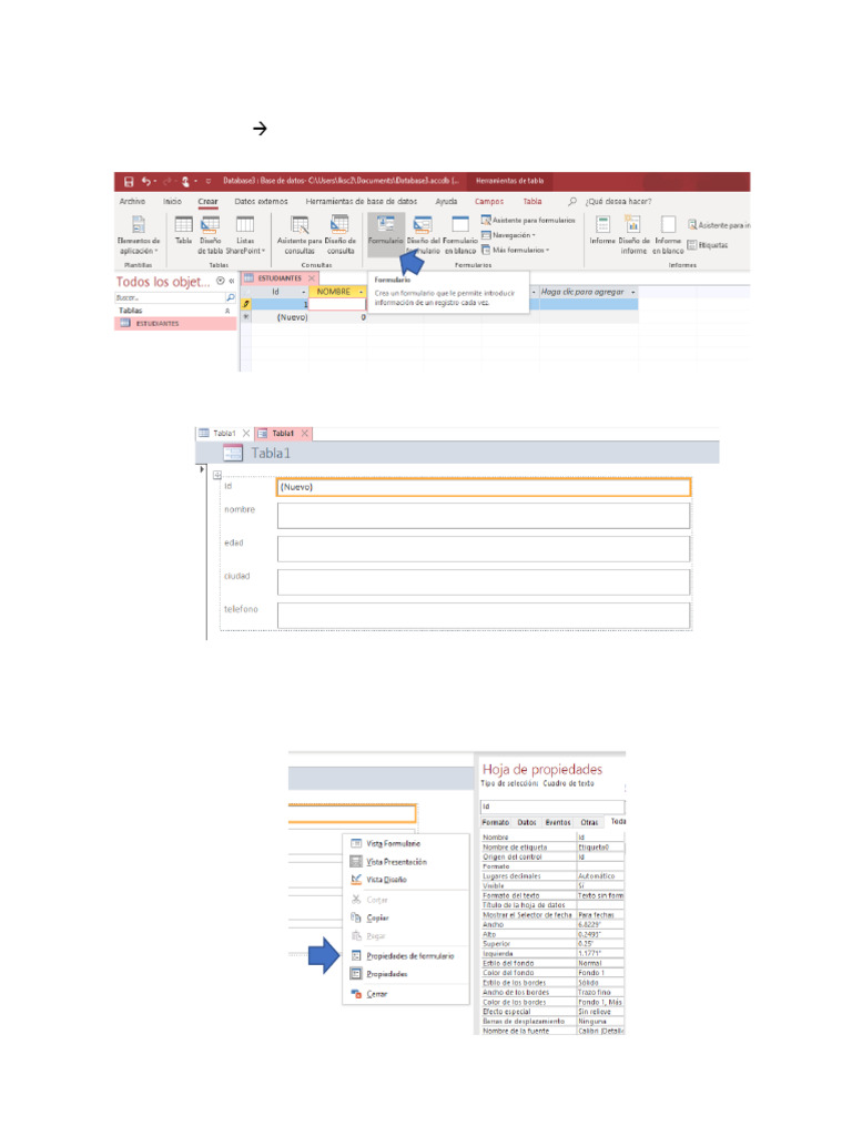 Guia Diseño Formularios Access | PDF