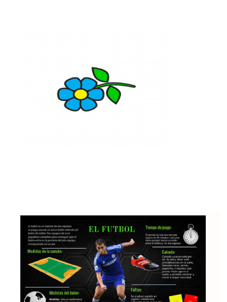 Fut Bol Infografia | PDF