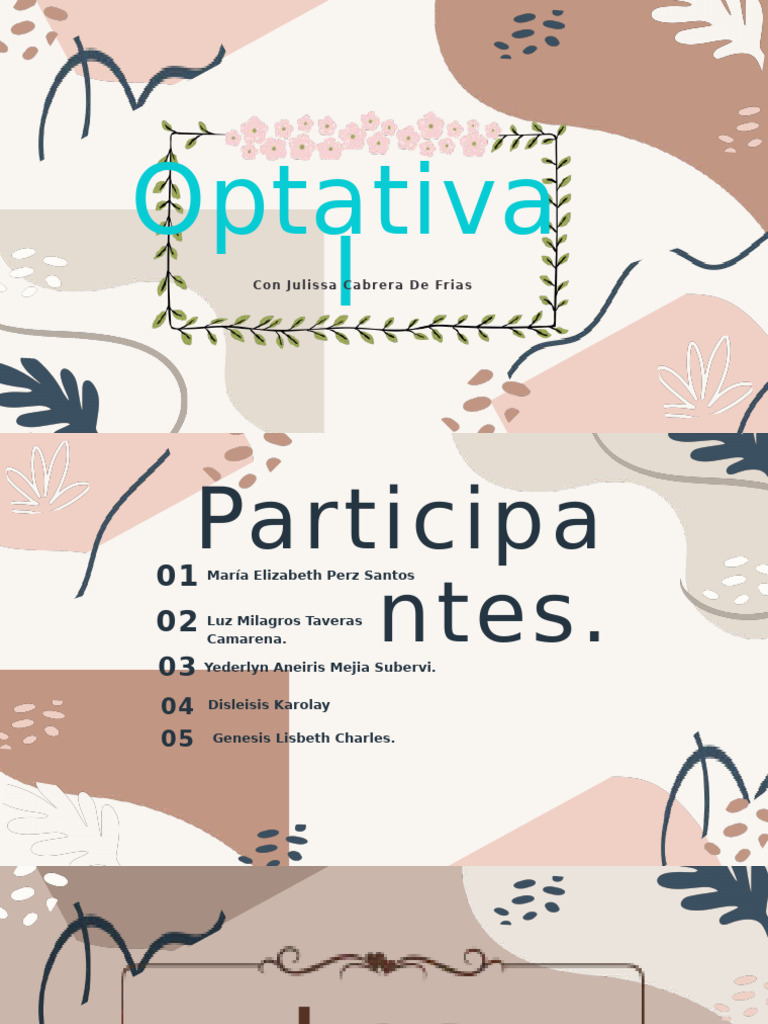 Presentacion Optativa 1 | PDF | Radiodifusión | Modulación de frecuencia