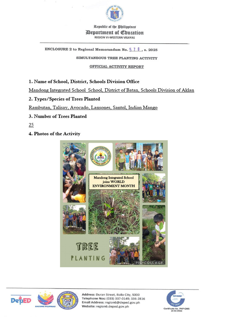 Mandong Is Tree Planting | PDF