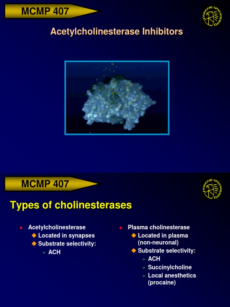 Overview of Cholinesterase Inhibitors | PDF | Acetylcholine ...