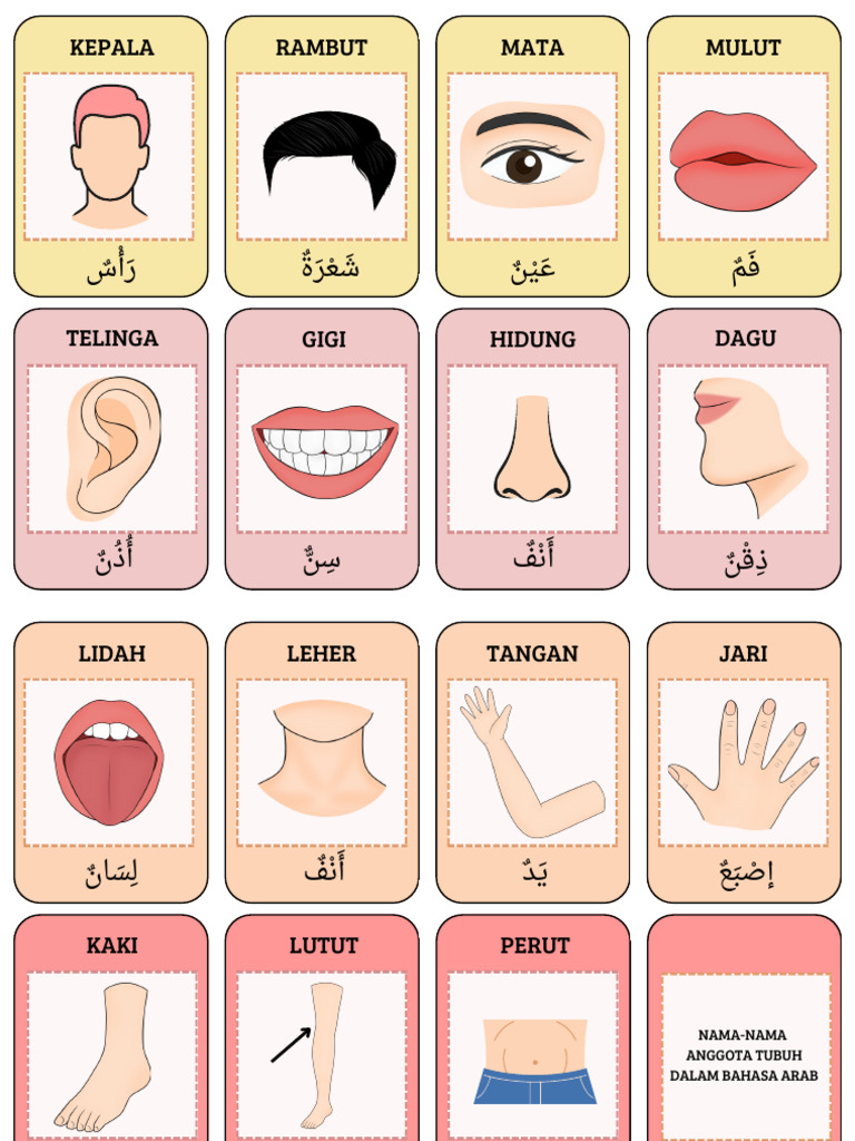 Kuning Simple Pink Simple Ilustrasi Nama-Nama Anggota Tubuh Dalam ...