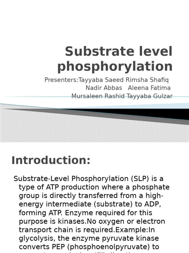 Substrate Level Phosphorylation | PDF | Adenosine Triphosphate ...