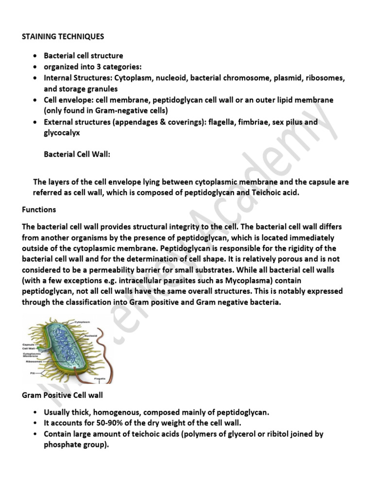 Staining Techniques 42495847 | PDF | Staining | Cell Membrane