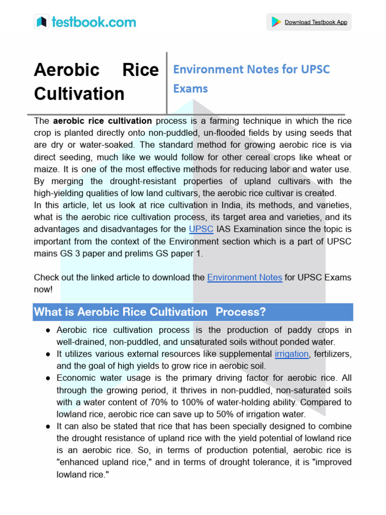 Aerobic Rice Cultivation - Docx Google Docs B59fb7a8 | PDF | Rice ...