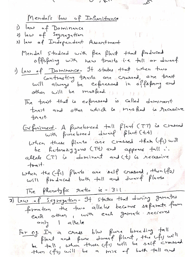 Mendal's Laws of Inheritance | PDF
