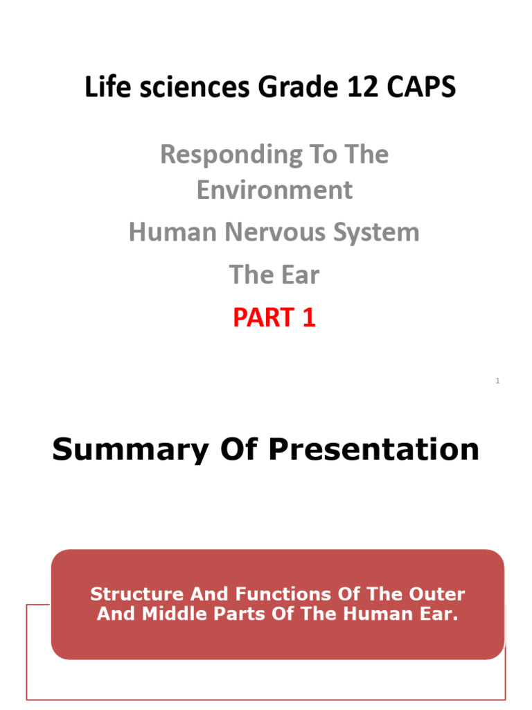 PP16. Receptors The Ear PART 1 | PDF | Ear | Auditory System