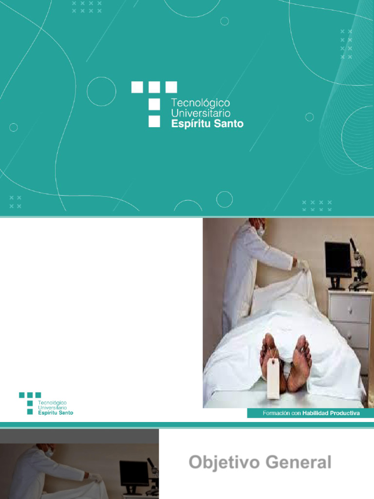 Cuidados de Enfermería Post Mortem | PDF | Muerte | Autopsia