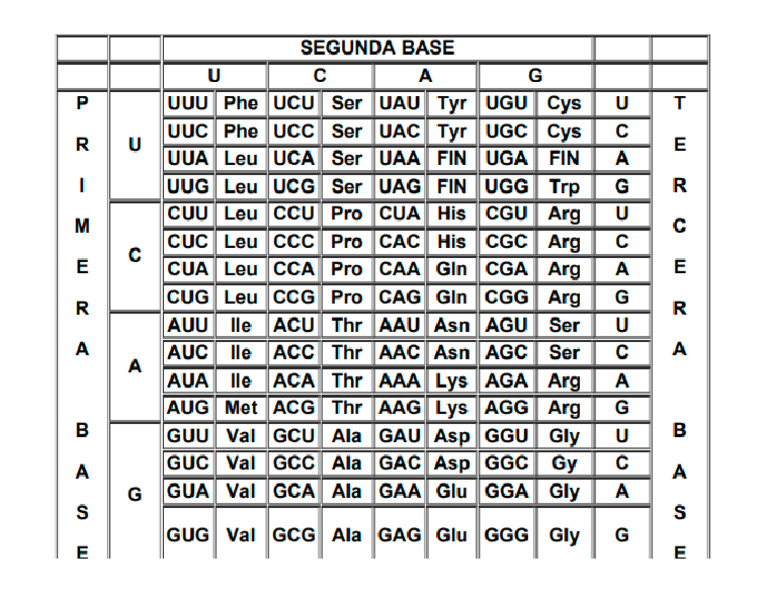 Tabla de Codigo Genetico | PDF