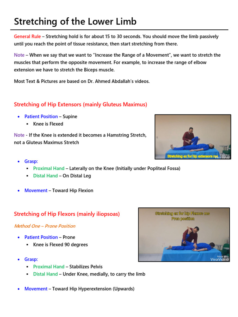 Stretching of Lower Limb | PDF | Human Leg | Anatomical Terms Of Motion