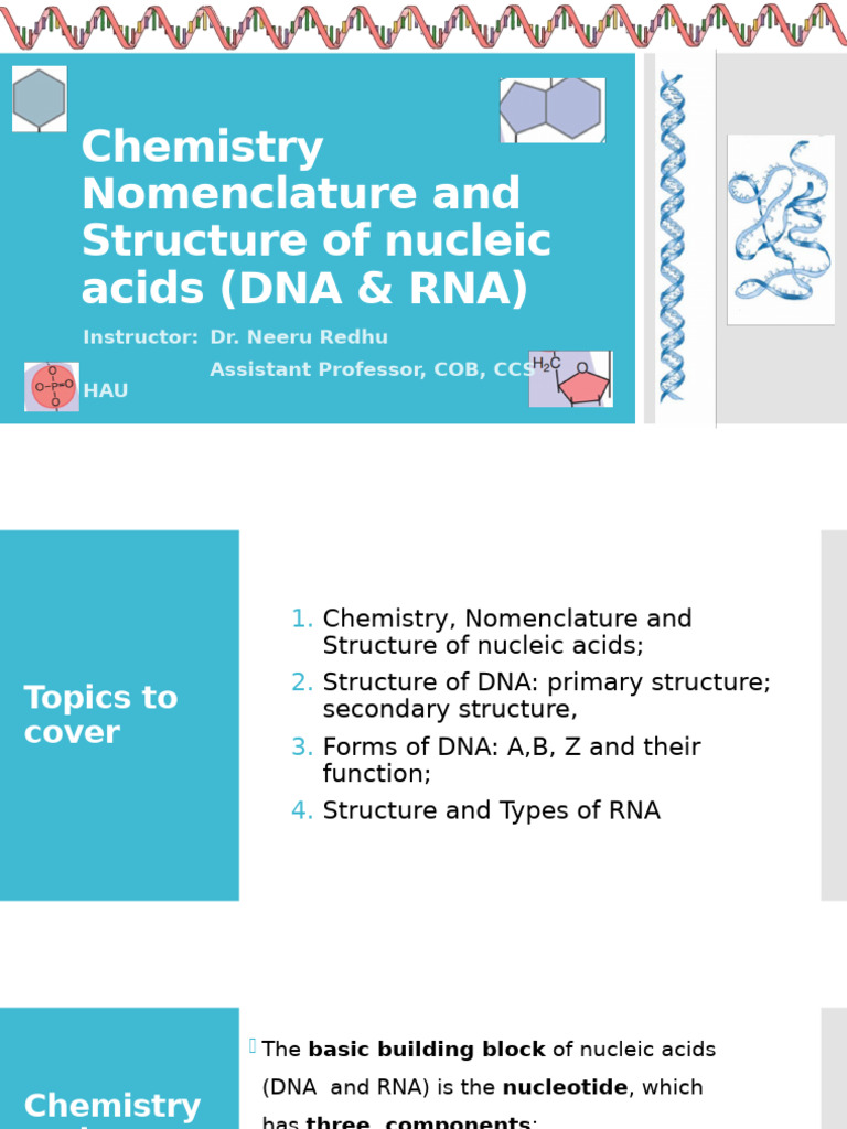 Nomenclature & Structure: Nucleic Acids | PDF | Nucleotides | Nucleic Acids