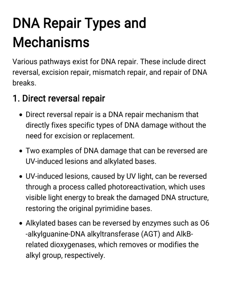 DNA Repair Type & Mechanism | PDF | Dna Repair | Dna