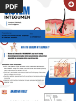 Anatomi Sistem Integumen | PDF