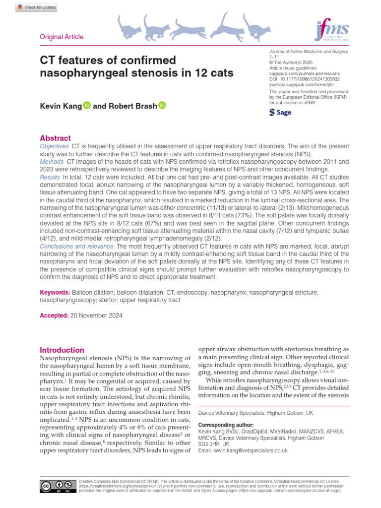 Kang Brash 2025 CT Features of Confirmed Nasopharyngeal Stenosis in 12 ...