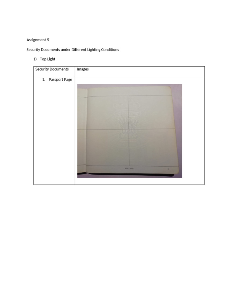 Analyzing Passport Security Features | PDF