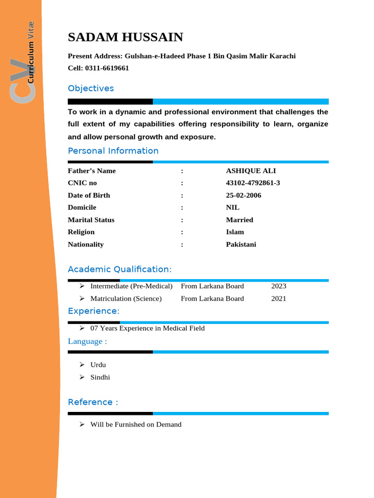 Saddam Hussain | PDF
