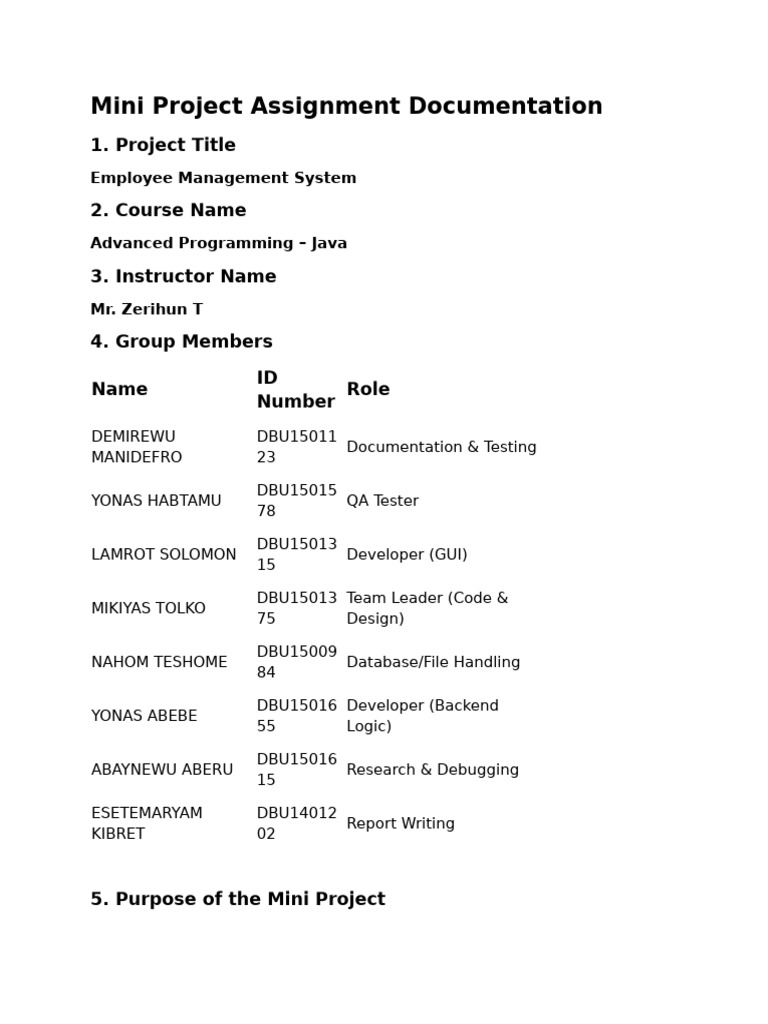 Mini Project Assignment Documentation | PDF | Software Development | Java (Programming Language)