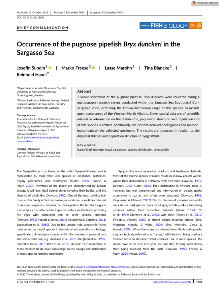 Pugnose Pipefish in Sargasso Sea | PDF