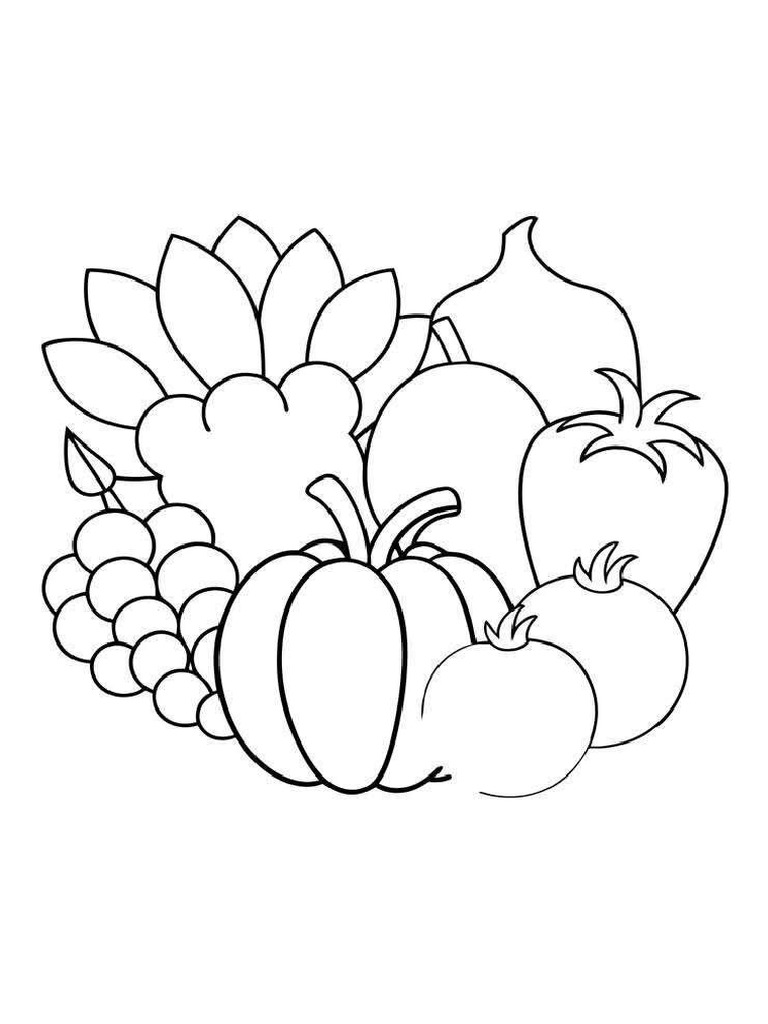 Drawing Fruit | PDF