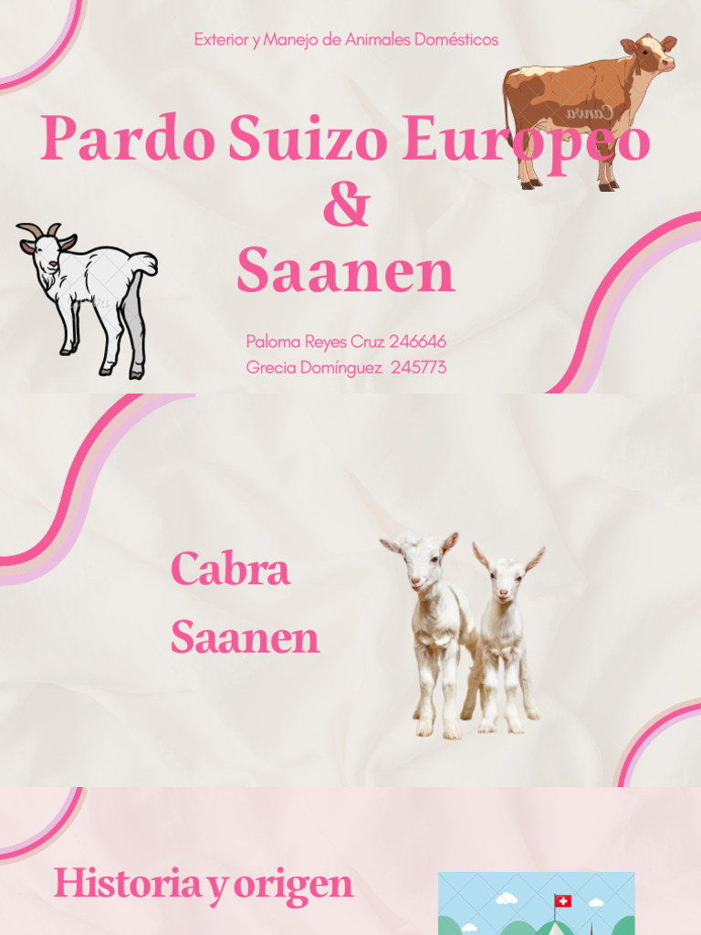 Manejo y Características de Cabras Saanen | PDF | Vacas