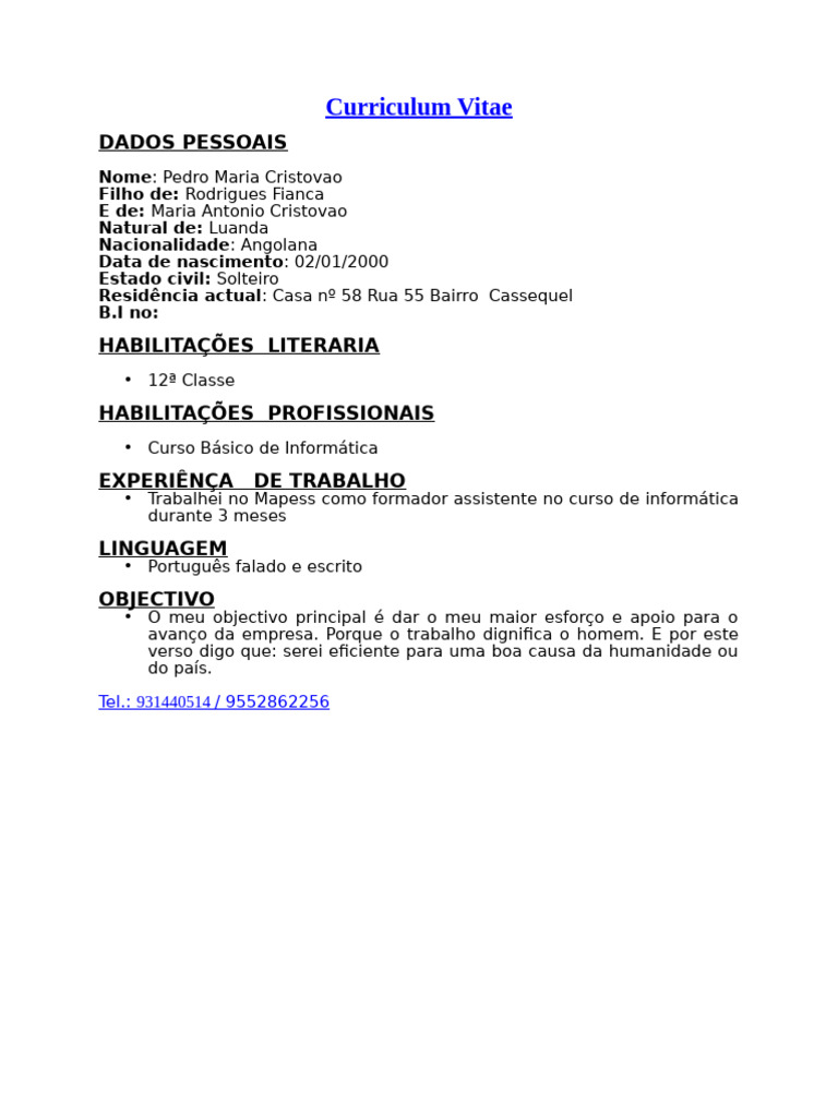 CV adriano (1) (1) | PDF