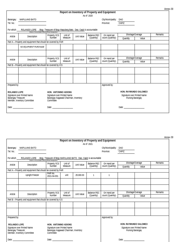 Barangay Mapulang Bato Inventory Report | PDF