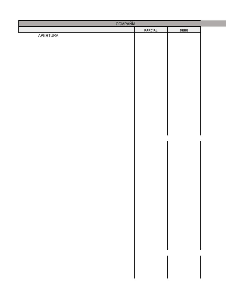 Formato Actual Lan 201 - 2025 | PDF | Hoja de balance | Corporaciones