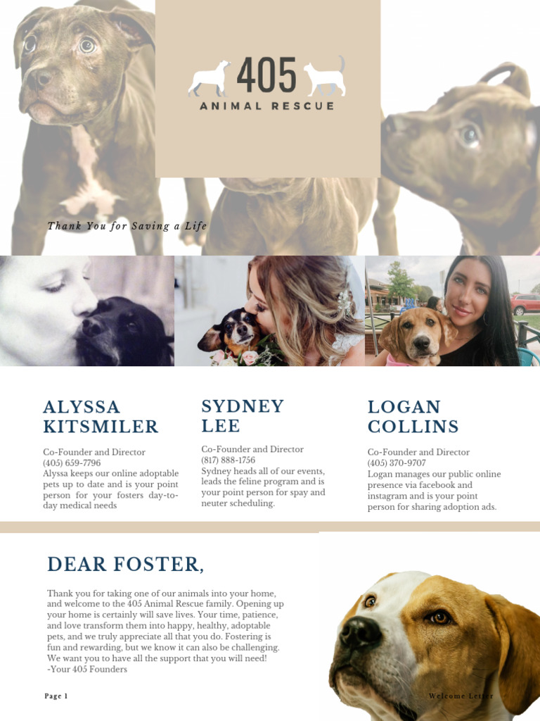 405 Animal Rescue - Foster Welcome Letter (2021) | PDF | Dogs | Leash