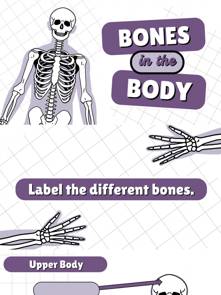 Label The Bones | PDF