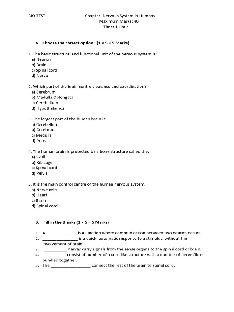 Test-Nervous System Copy 2 | PDF | Nervous System | Brain