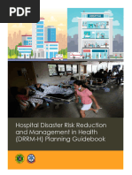 The Philippine DRRM System | PDF | Emergency Management | Risk Management