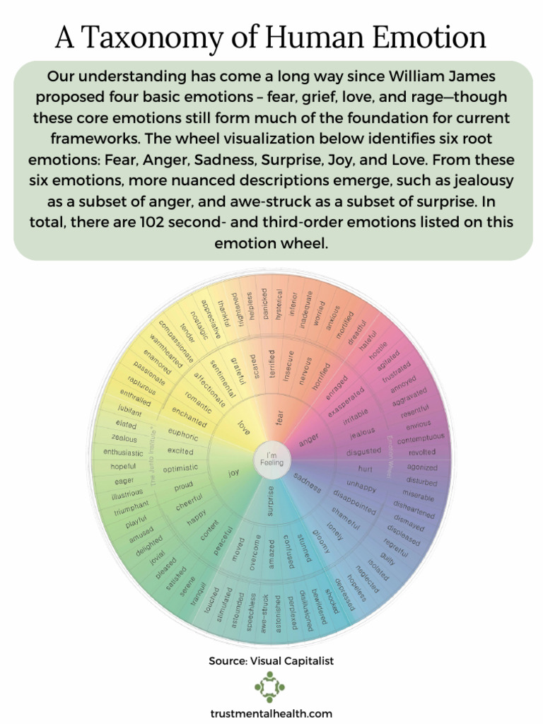 Emotion Wheel Worksheet | PDF