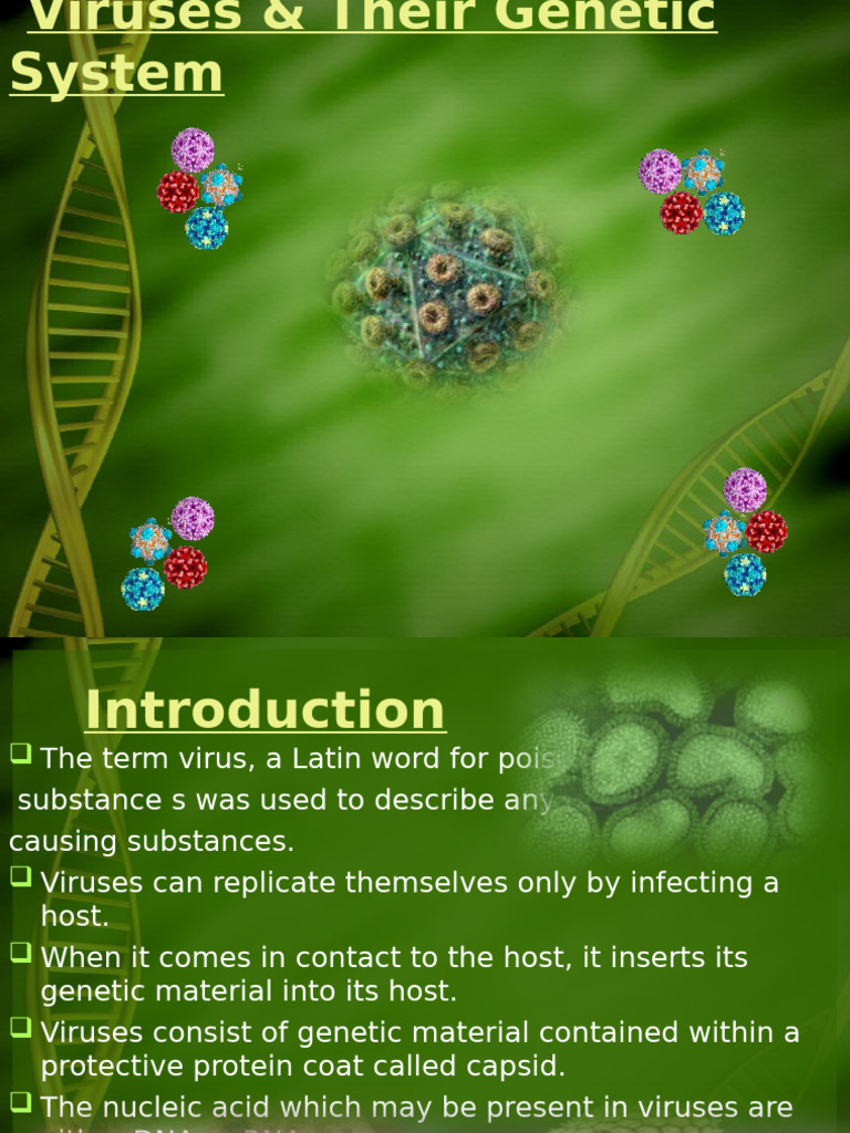 Understanding Viruses and Their Genetics | PDF | Virus | Biology