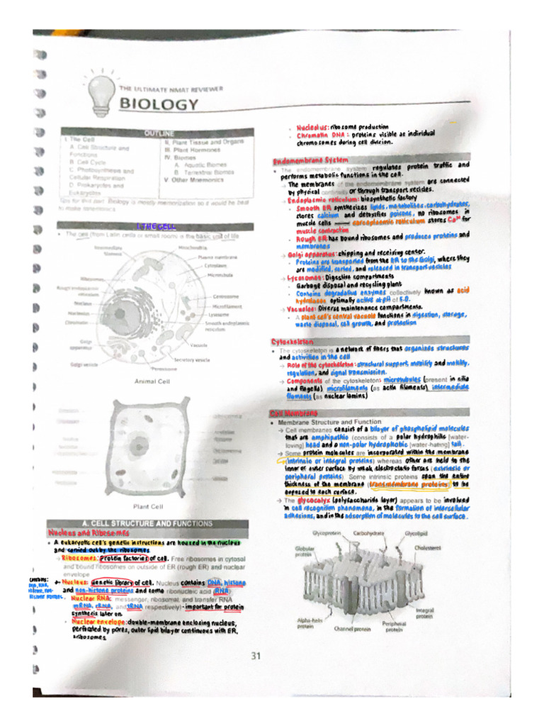 Biology | PDF