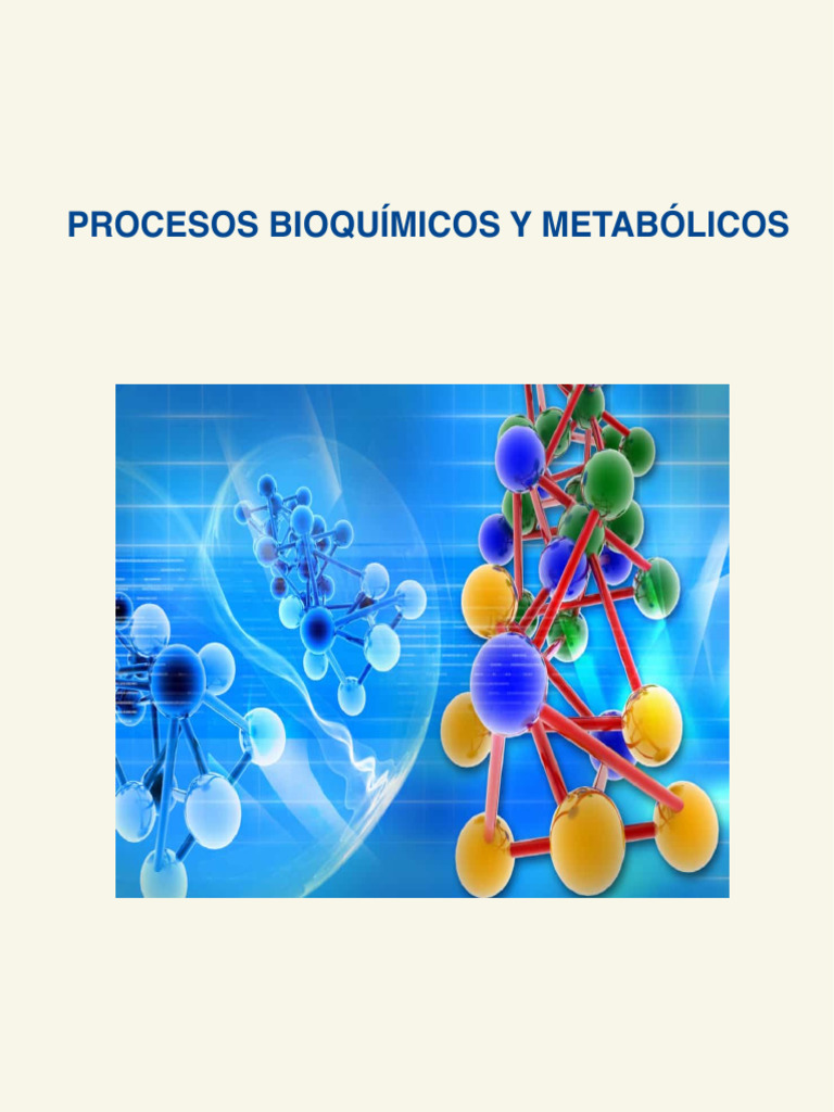 Apuntes Procesos Metabólicos y Bioquímicos | PDF | Transducción de ...