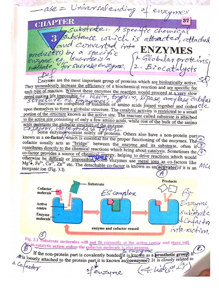 Biology Chapter 3 | PDF
