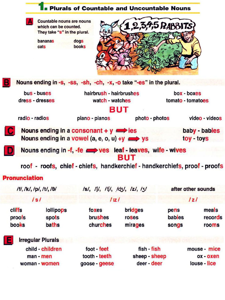 Plural of Countable and Uncountable Nouns | PDF