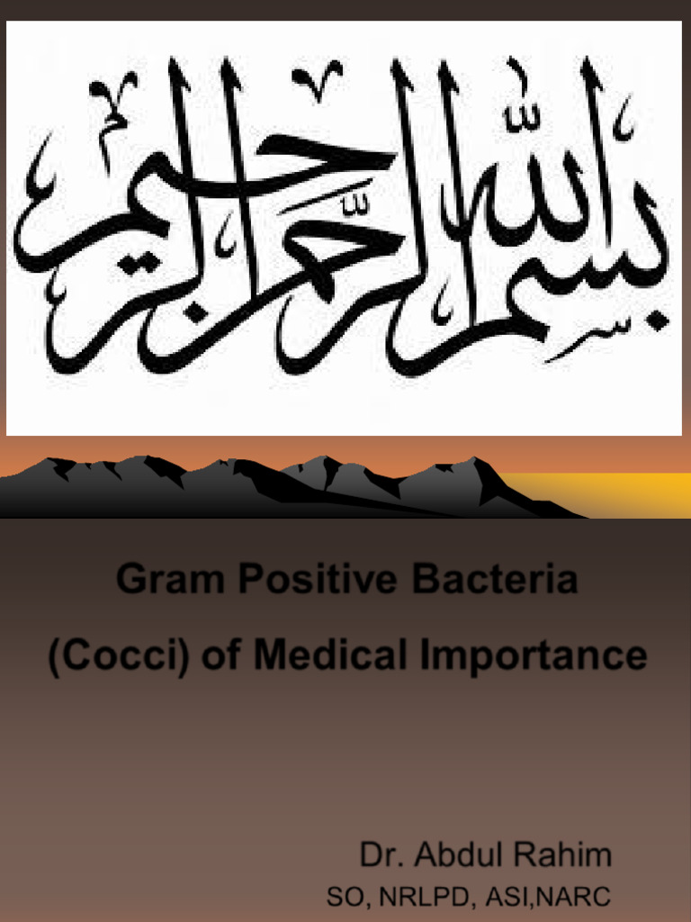 3 - Gram Positive Cocci. 2.2nd Lecture | PDF | Streptococcus | Infection