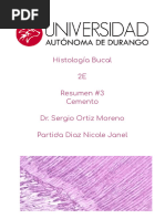 Tipos de Cemento Radicular: Acelular y Celular | PDF | Ramas de ...