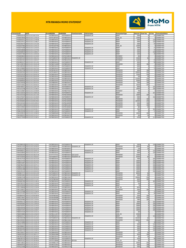 Momo Statement For Nsabimana | PDF | Corporate Jargon | Personal Finance