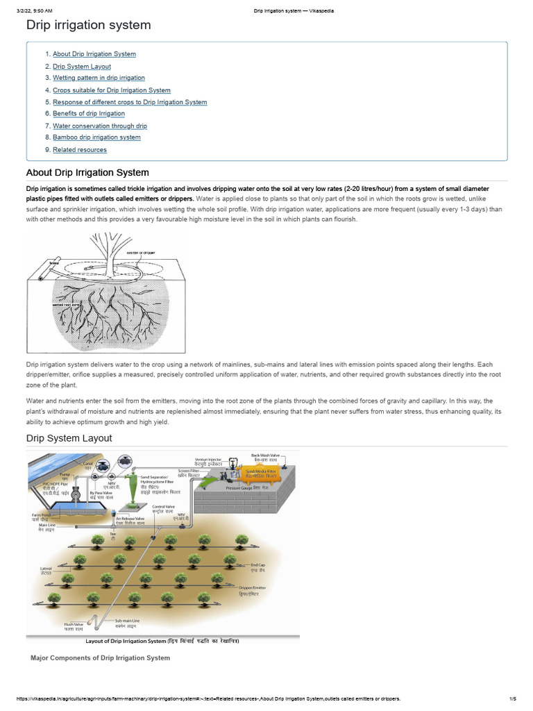 Bamboo Drip Irrigation Overview | PDF | Irrigation | Agriculture