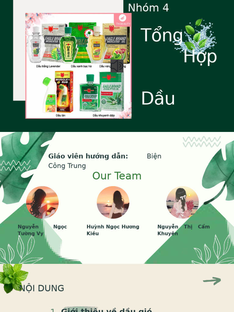 Tổng Hợp Dầu Gió | PDF